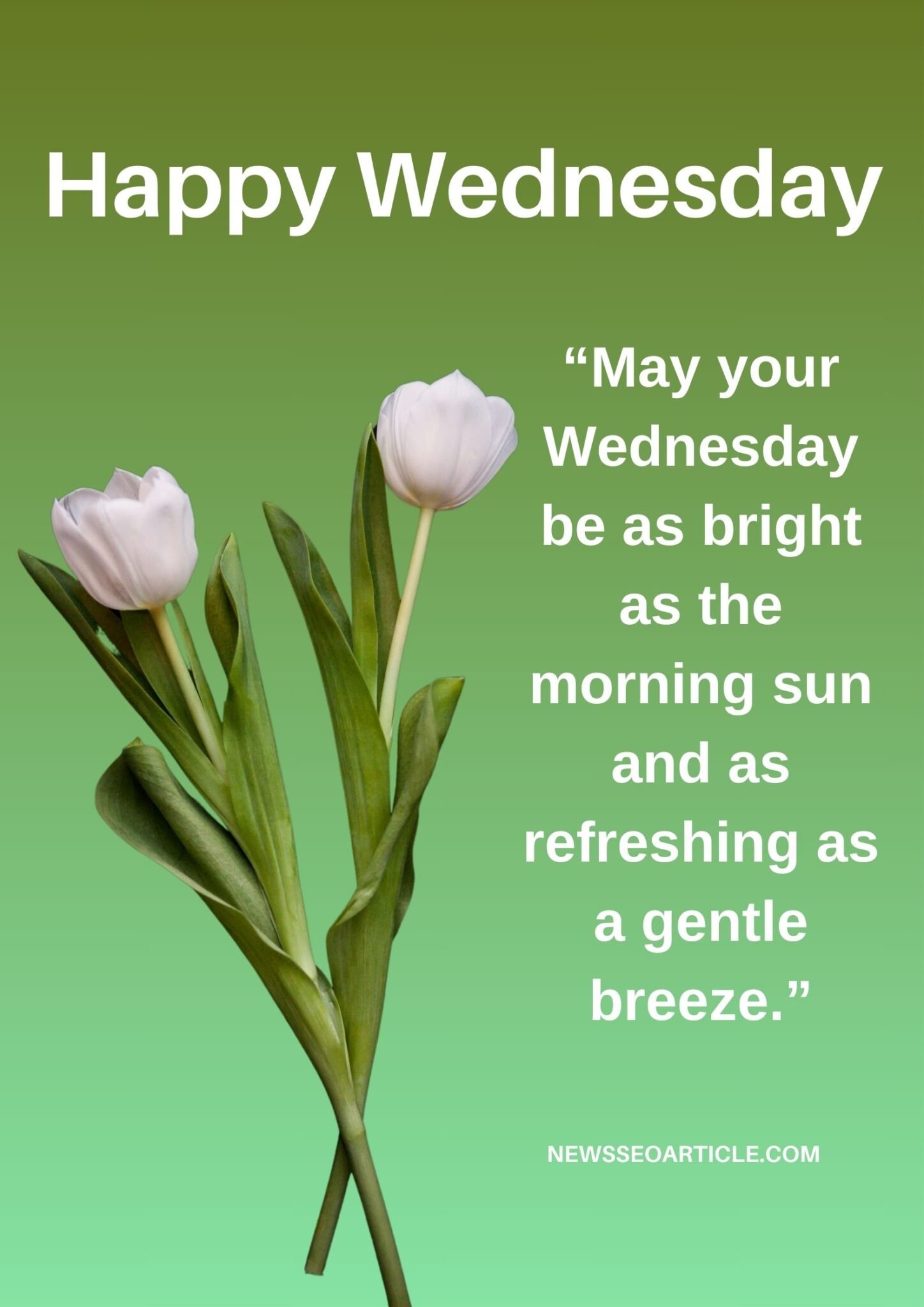 100 Best Wednesday Morning Blessings Quotes For Friends | News Seo Article